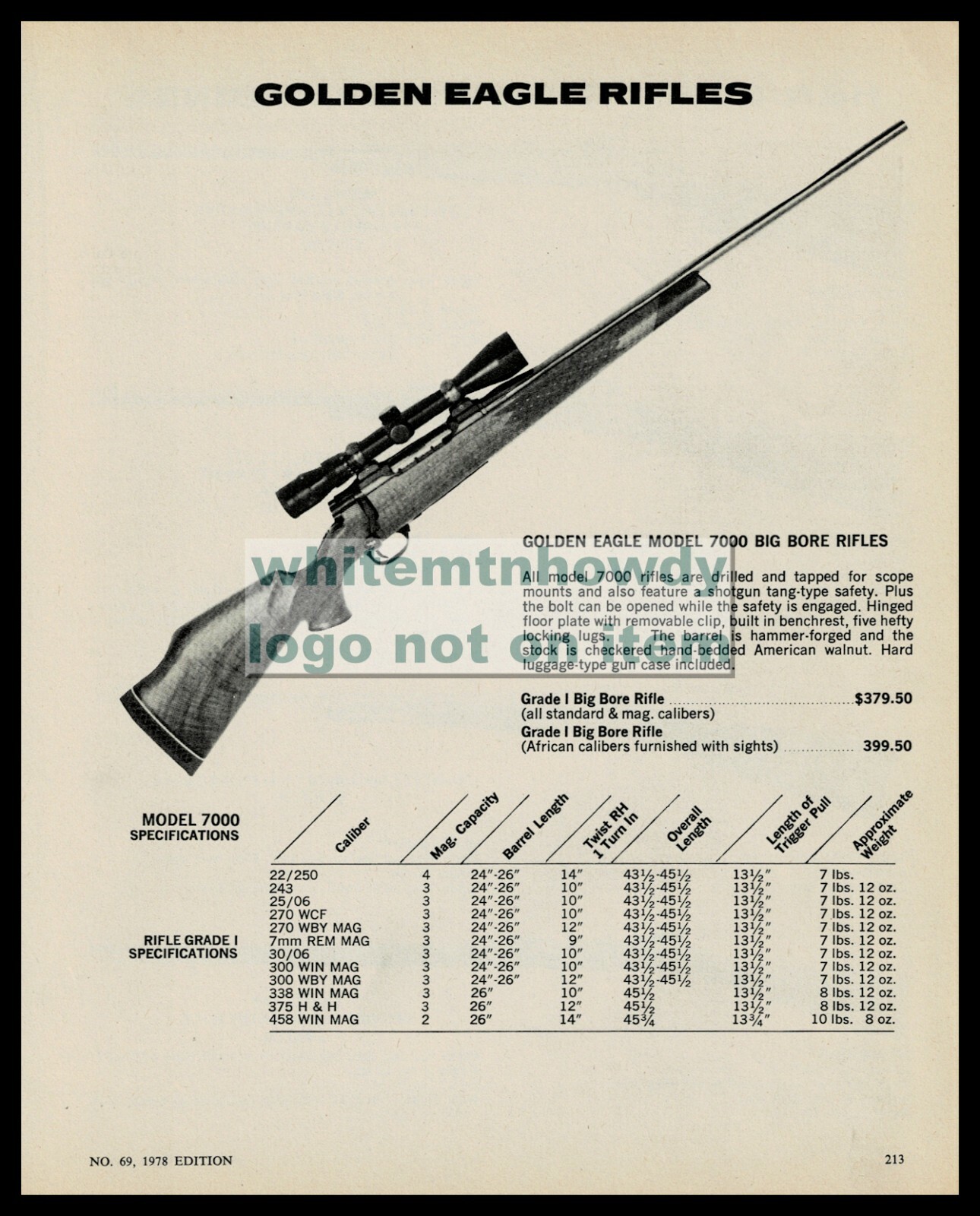 Eagle Hunting Rifle