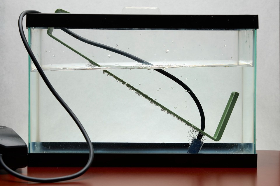Angelfish & Discus Breeding Slate for Aquariums - Choose Color | eBay