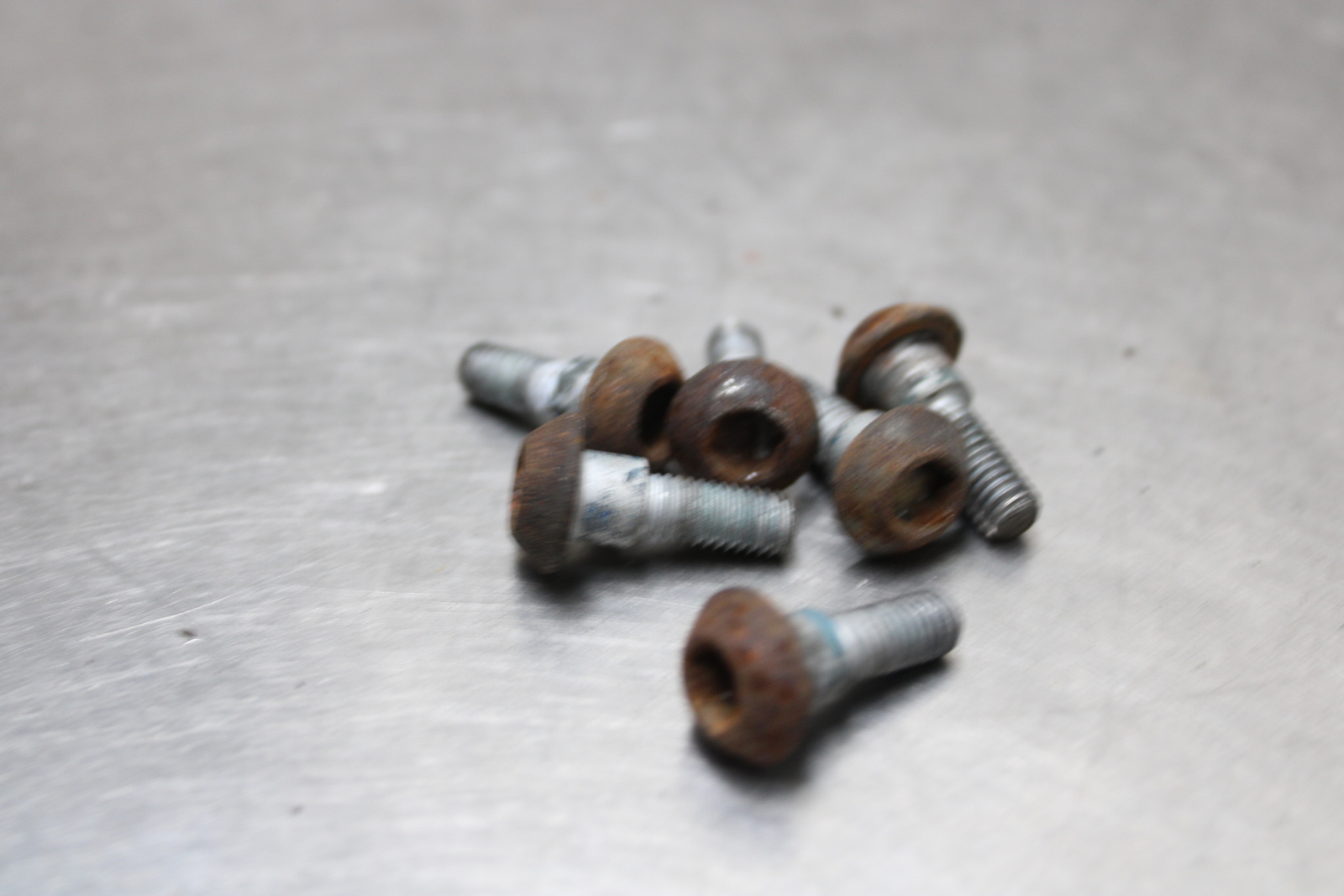 99-00 Yamaha YZF R6 Rear Rotor Bolts | eBay