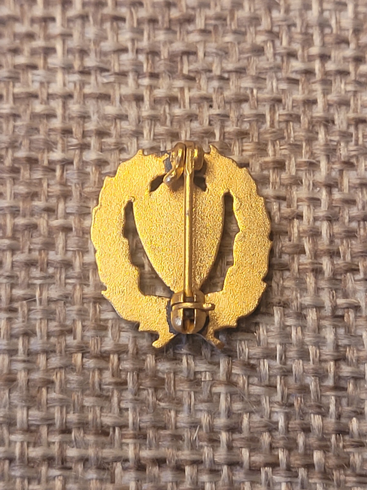 Vintage Junior C of C Chamber of Commerce Past President Auxiliary Pin ...