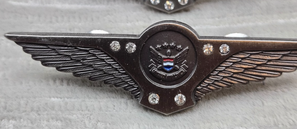 4 United Airlines Flight Attendant Wings Pin 3,4,5,6 Gems and Purser ...