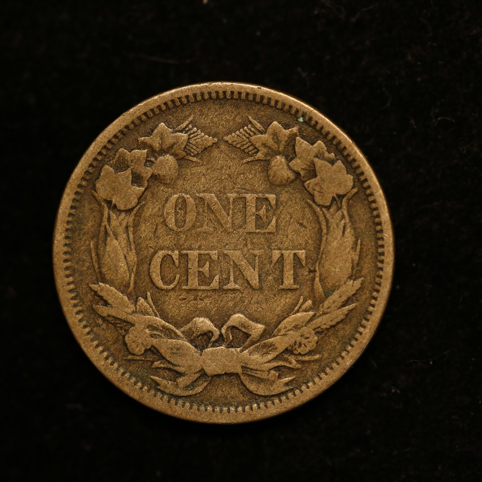 1858 US FLYING EAGLE CENT PENNY TYPE COIN NO RESERVE | eBay