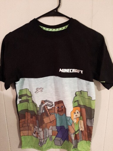 Printable Minecraft Steve Shirt