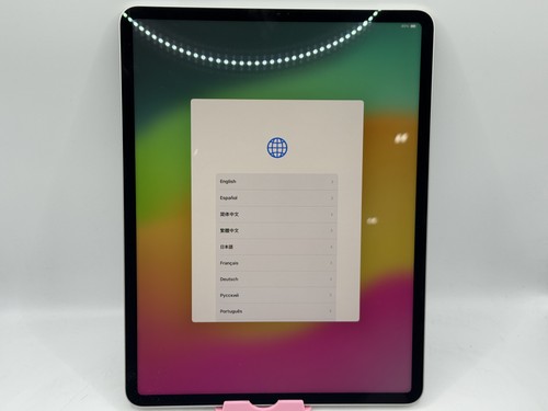 Apple iPad Pro 5th Gen A2378 MHNJ3LL/A 12.9" 256GB WiFi Only 17.6 ...