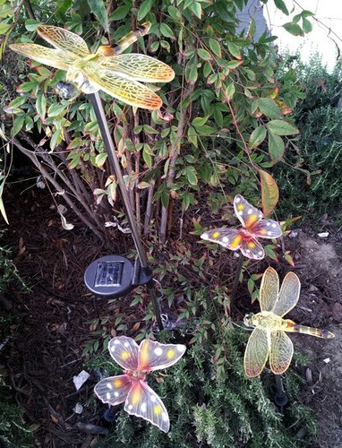 8pk Outdoor Solar Stainless Steel Butterfly & Dragonfly Pathway Stake ...