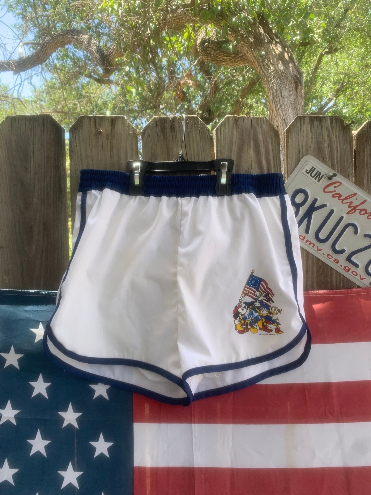 Rare Mickey Mouse and Friends in colonial clothing Be… - Gem