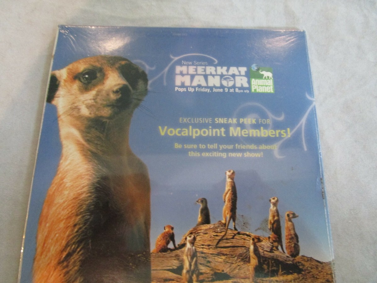 Meerkat Manor Television
