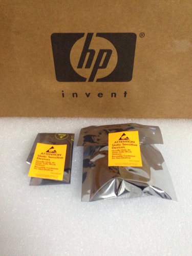 HP 462967-B21 462975-001 512MB Serie P Batteria Retro Write Cache ...
