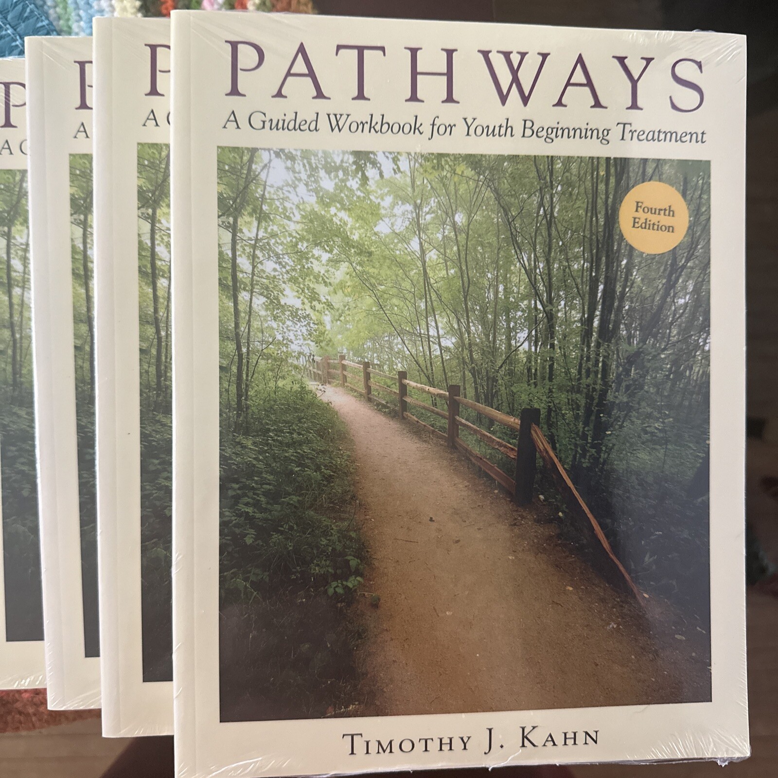 Pathways : A Guided Workbook for Youth Beginning Treatment by Timothy J ...