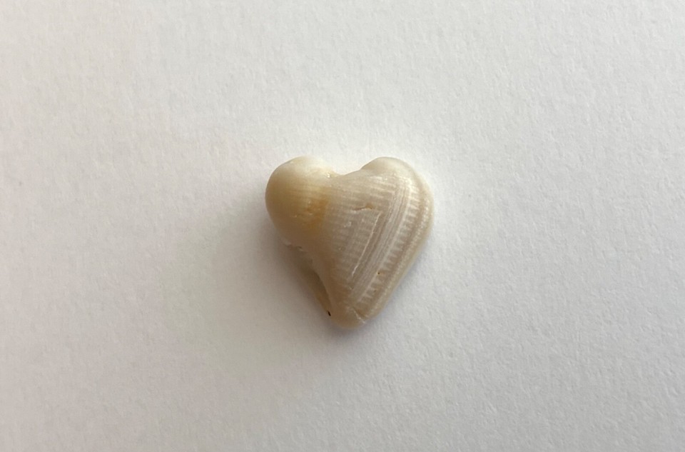 Valentine Heart Shell Natural Shaped Seashell Beach Love Surf Tumbled ...