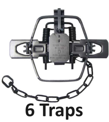 6 Duke #2 Coil Spring Trap (4 Coiled/Offset Jaws) Trapping Supplies 6 ...