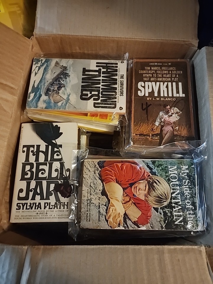 Books. Box Full Of Old Paperbacks. 45 Total. Overstock Sale. Variety ...