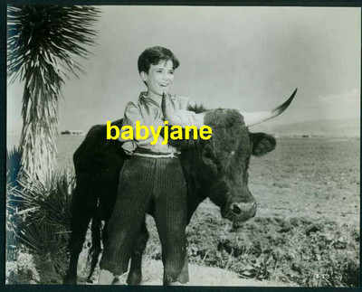 MICHEL RAY VINTAGE 7X9 PHOTO CHILD ACTOR 1956 THE BRAVE ONE ...
