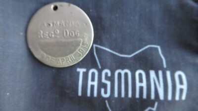 Antique Tasmanian Council Dog Registration Tag District No.34, Regd. No ...