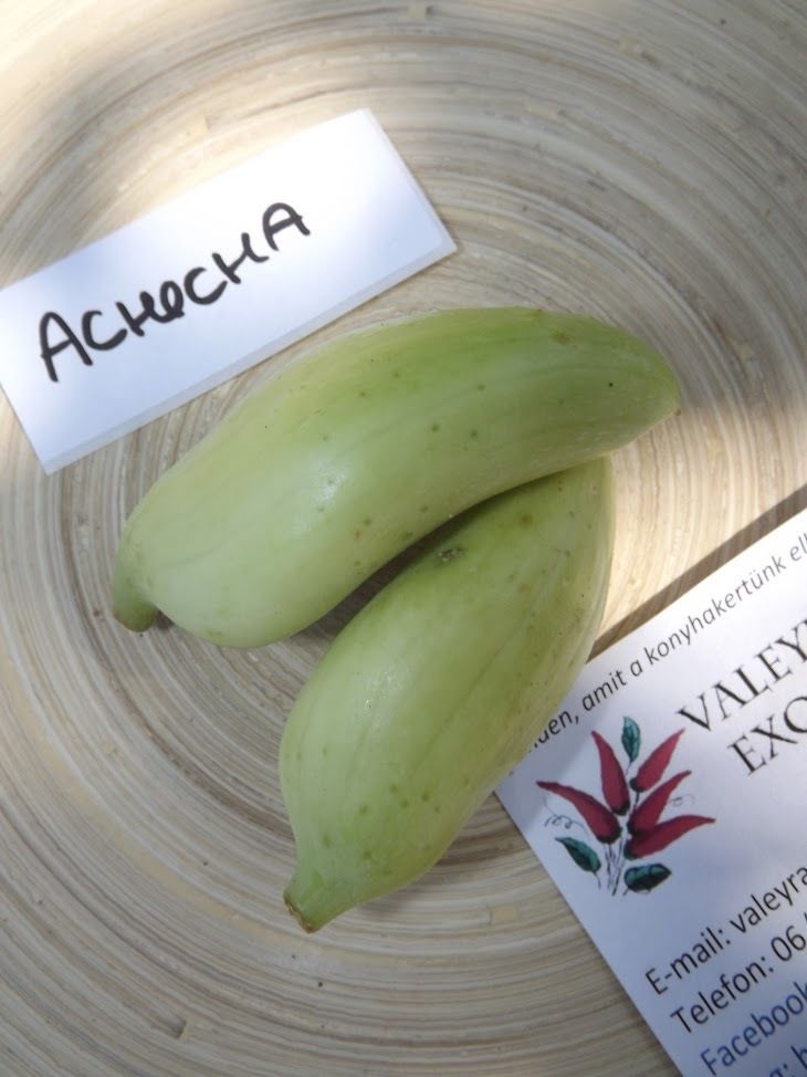 Achocha - Inka Cucumber - 5+ seeds - Graines - Semillas - INKA RARITY ...