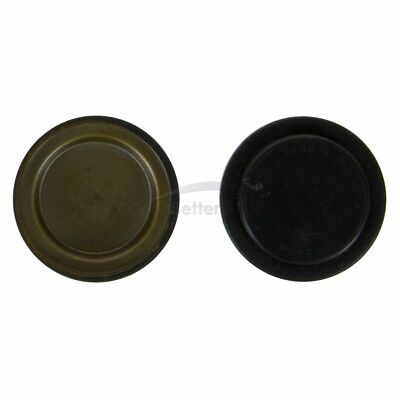 One New Fel-Pro Engine Camshaft Plug Set Rear ES72418 807045040 for ...