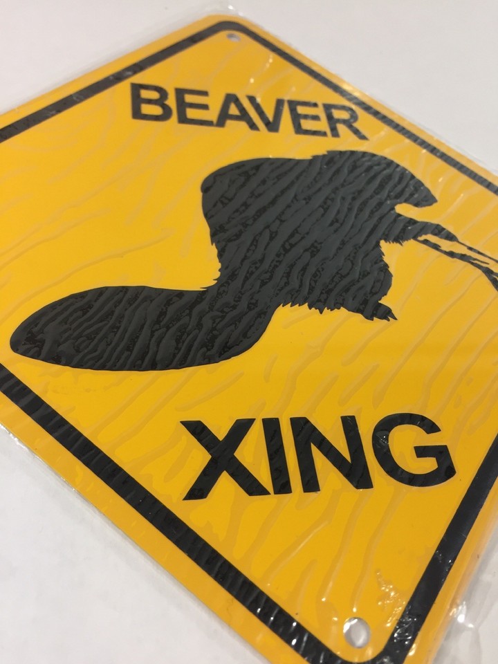BEAVER XING MetalAnimal Crossing Sign 6”x6” (NEW) | eBay