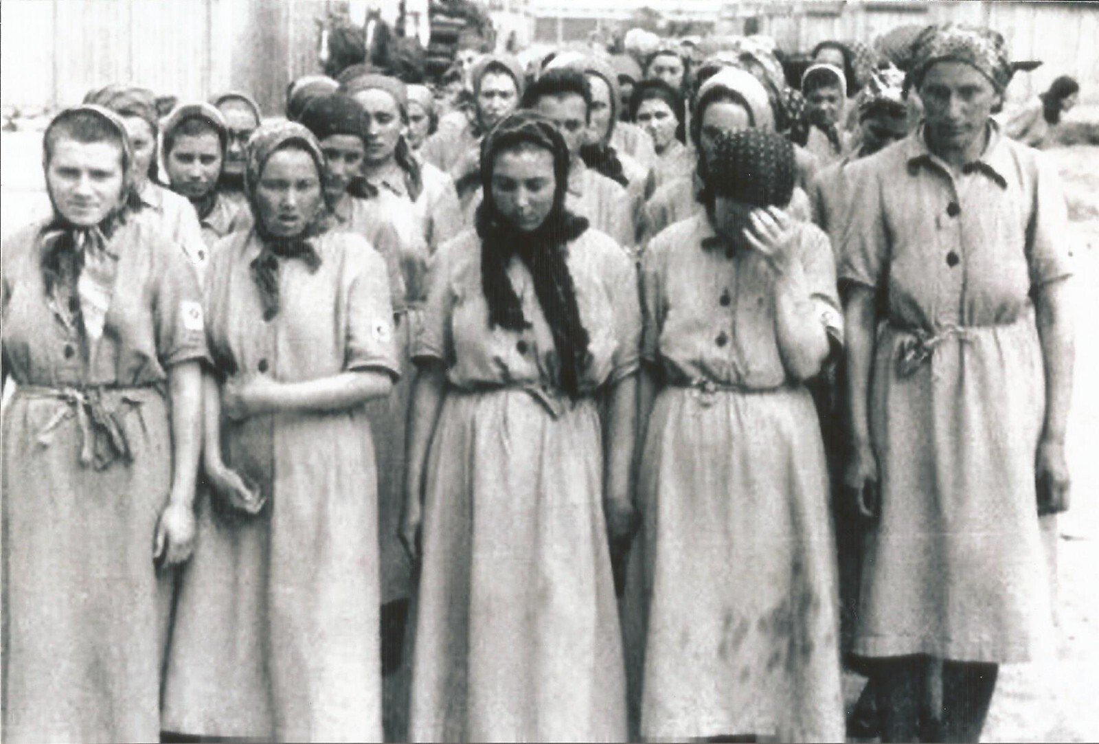 WW II German Photo --- Jewish Women Concentration Camp.... | eBay