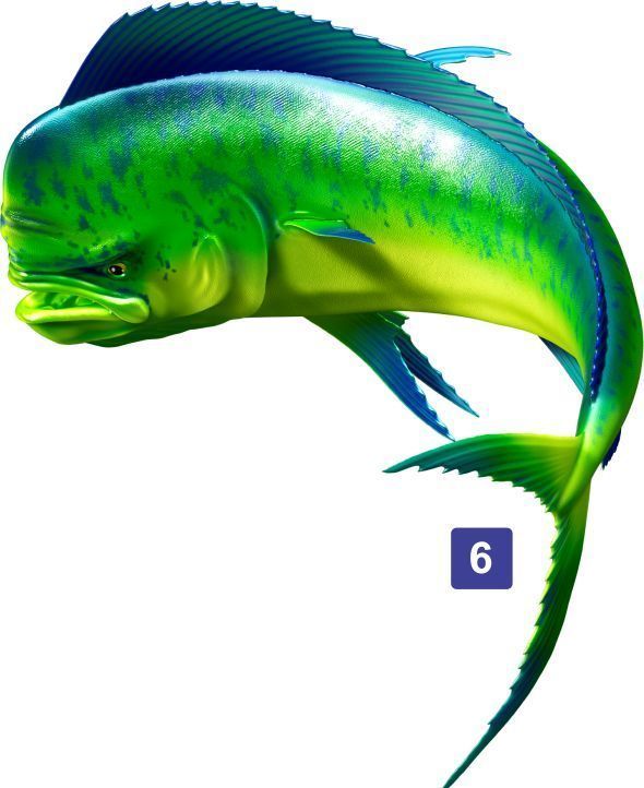 Mahi Mahi Beautiful Vinyl Sticker Fish Decals for Boat Car Vehicle ...