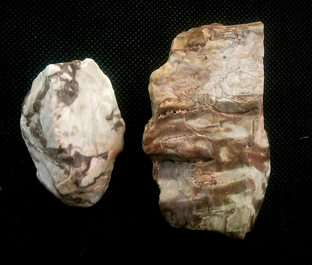 Homo Habilis Tools