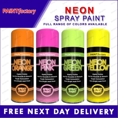 Neon Fluorescent Bright Spray Color Paint Aerosol DIY Matt Banksey 400 ...