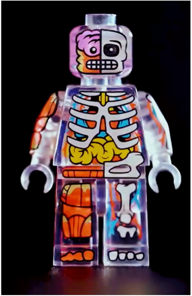 In Hand Citizen Brick - The Visible Man Minifigure - Rare New LEGO ...