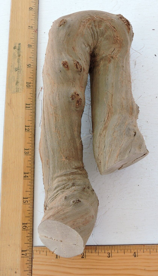 9" Grapevine Wood Stick Log Driftwood Natural Decor Crafts U Crooked 1 ...