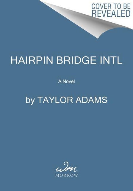 Hairpin Bridge von Taylor Adams (2021, Taschenbuch) for sale online | eBay