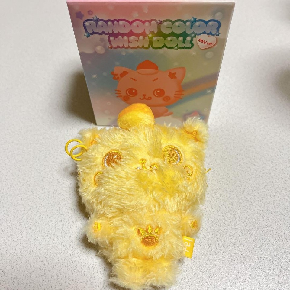 NCTWISH Riku wishdoll Doll | eBay