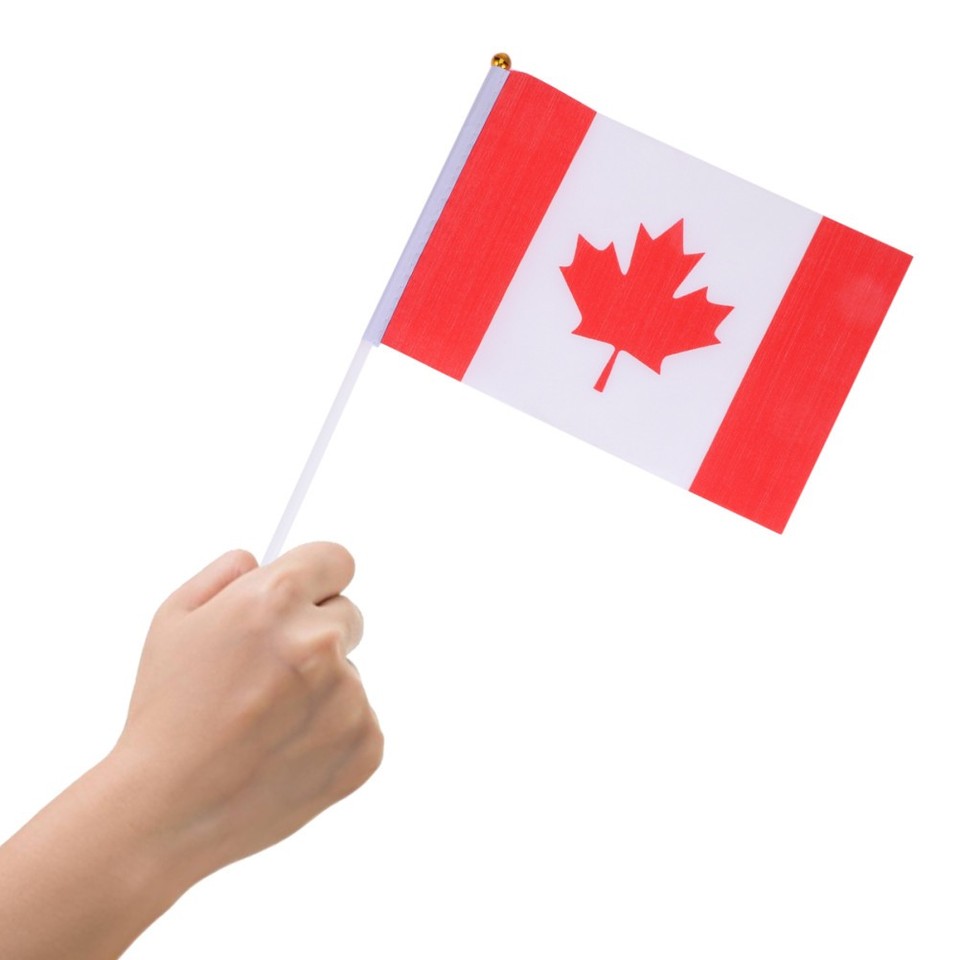 50 Pcs Hand Held Flag Canada Stick Flags Party Supplies Canadian Small ...