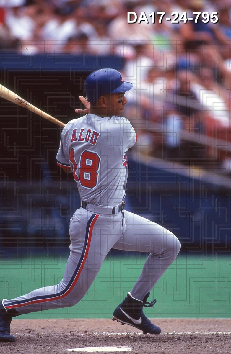Moises Alou Batting Stance