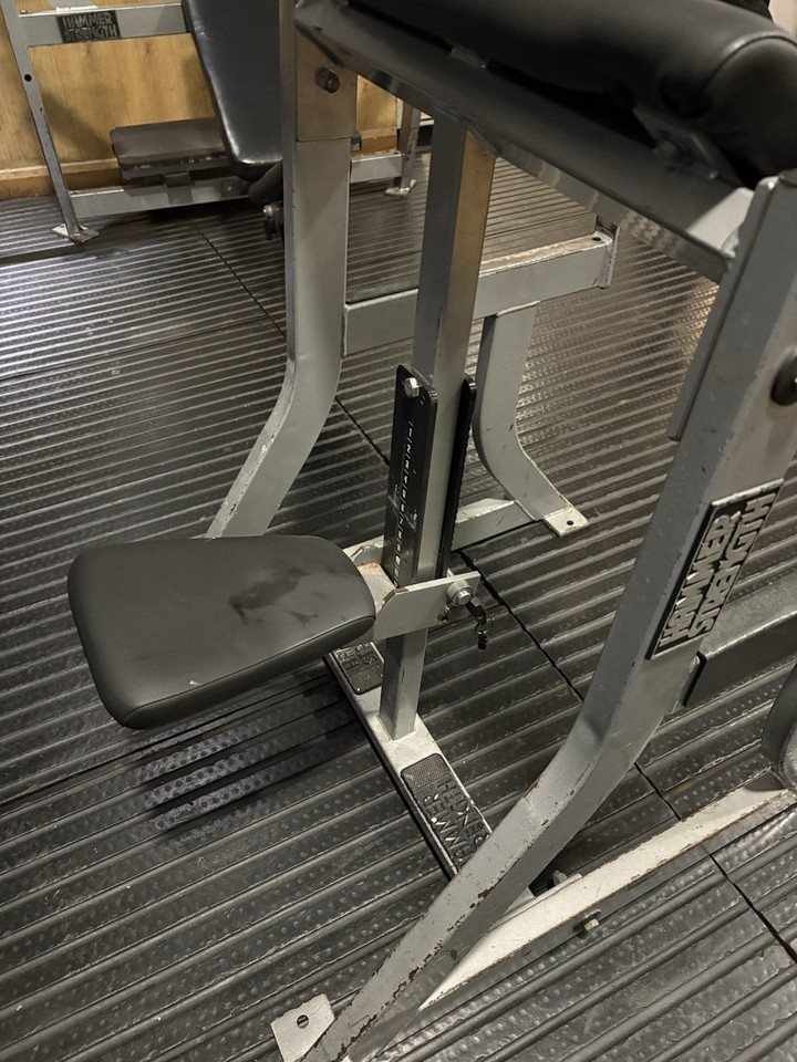 Hammer Strength Preacher Curl Bench | eBay UK