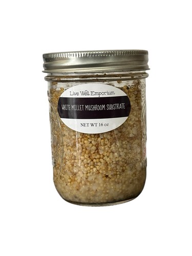 Sterilized MILLET Jars For Mushroom Inoculation FOUR(4) Count | eBay