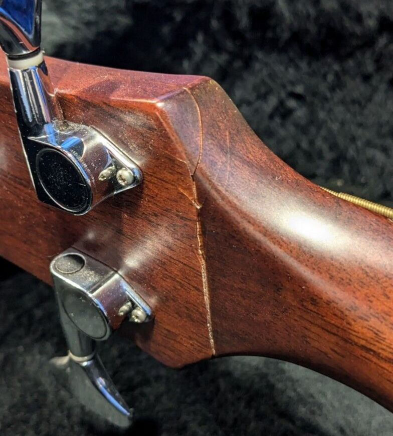 Dean Performer Plus Acoustic Electric Bass-Shadow P7 Pickups and ...