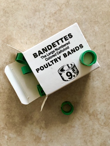 Bandettes For Poultry (Size 9) Clip Celluloid Leg Bands 25/Pieces ...