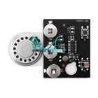 30s Greeting Card DIY Recordable Voice Chip Music Box Sound Module ...