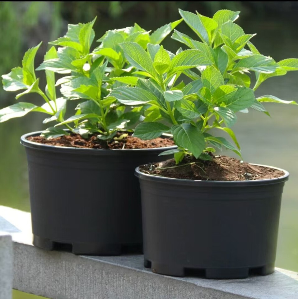 7 Gallon 10 PCS Plastic Nursery Pots Garden Large Premium Plant Pot | eBay