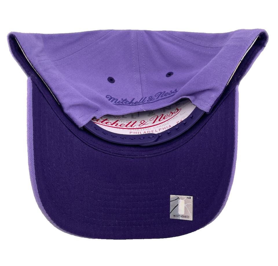 Mitchell & Ness Toronto Raptors NBA Purple/Black UV Pro Crown Fit ...