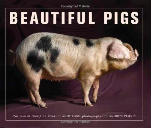 BEAUTIFUL PIGS: PORTRAITS OF CHAMPION BREEDS By Andy Case & Andrew ...