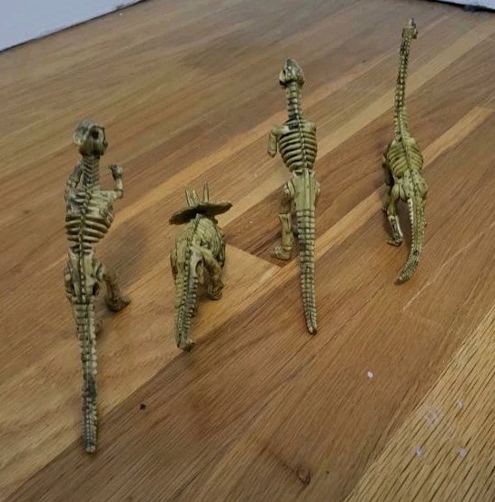 Dinosaur Skeleton Toy Figures Set of 4 Great Used Condition | eBay
