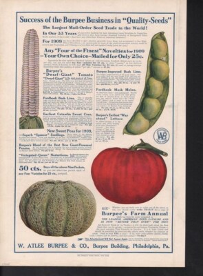 1909 ATLEE BURPEE GARDEN SEED TOMATO MELON HOME DECOR PHILADELPHIA AD ...
