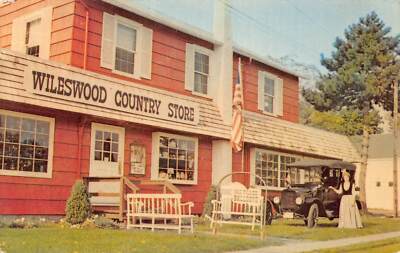 J85/ Huron Ohio Postcard Chrome Wileswood Country Store Unusual Store 252 | eBay