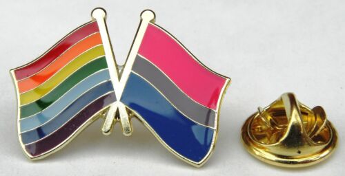 Rainbow And Bisexual Flag Pin Badge Lgbt Friendship Pride Brooch Gay Ebay