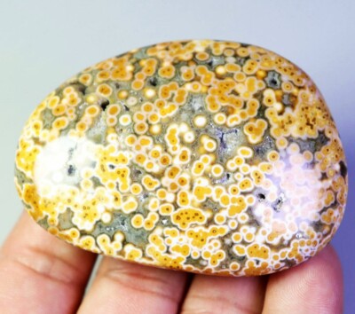 Natural Round Eye Ocean Jasper Agate Geode Quartz Crystal Plam Stone ...