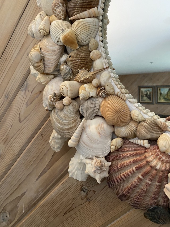 GRANDE Shell CRAFT Round 28” x 28” Natural Art Handmade Concha XXL | eBay