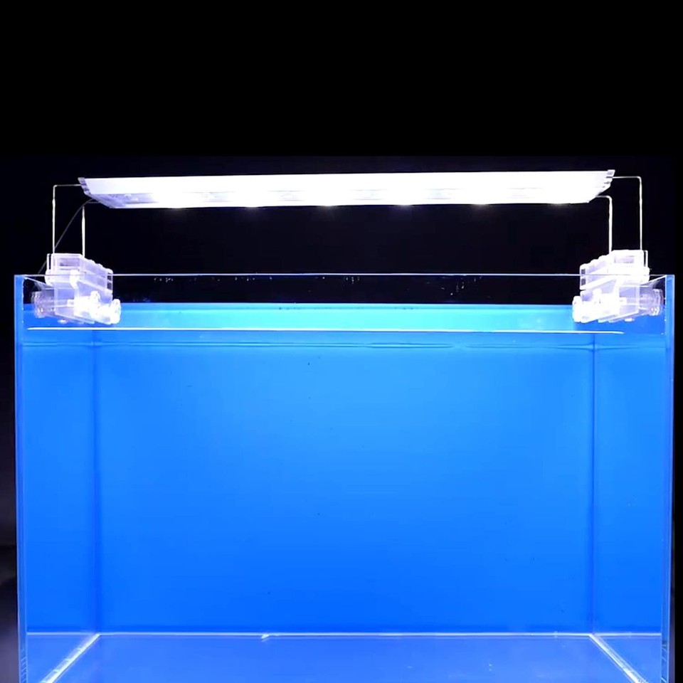 Aquarium Background Blue Black Fish Tank Background Picture 2 Sides ...