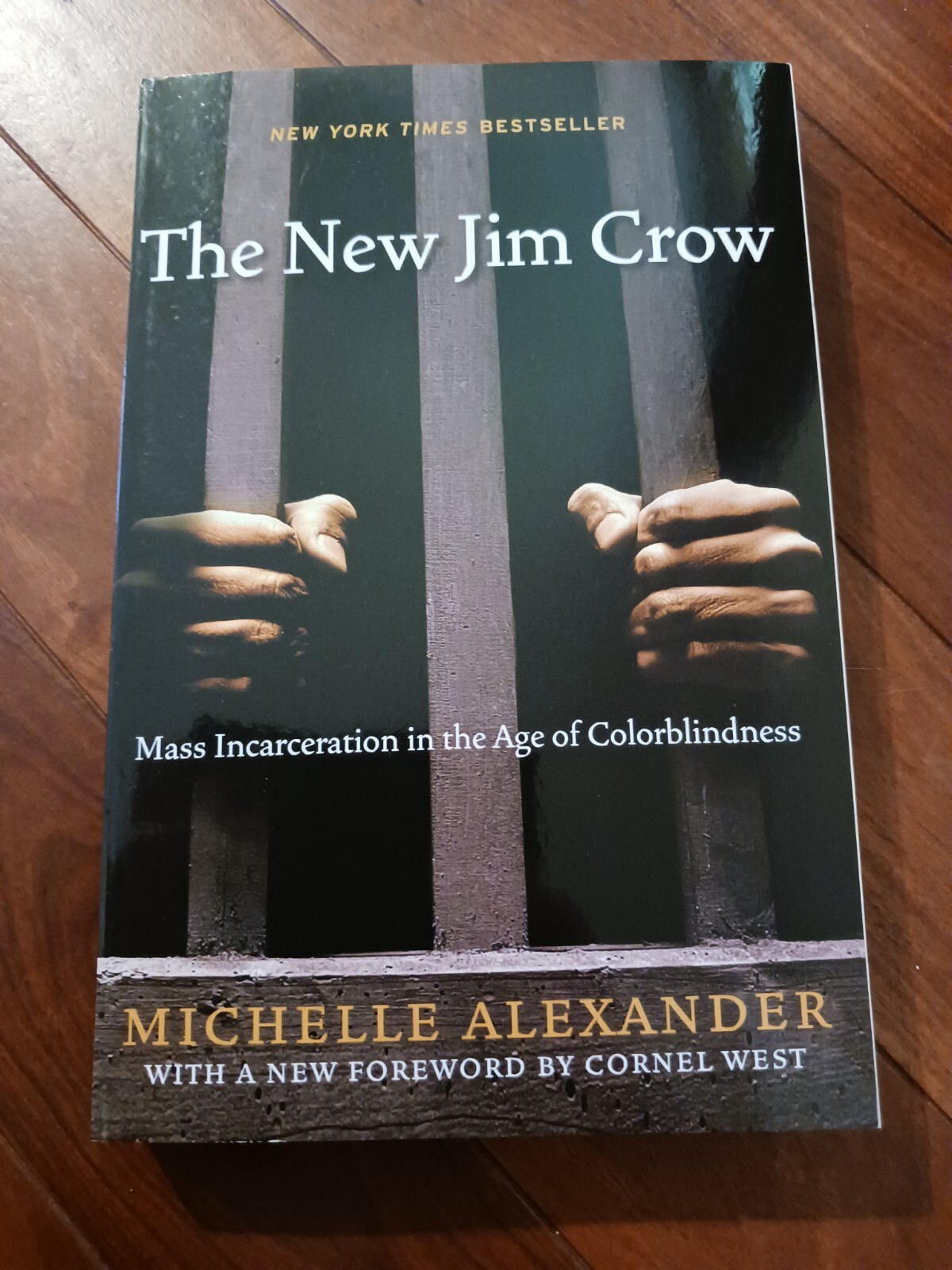 The New Jim Crow: Mass Incarceration in the Age of Colorblindness ...