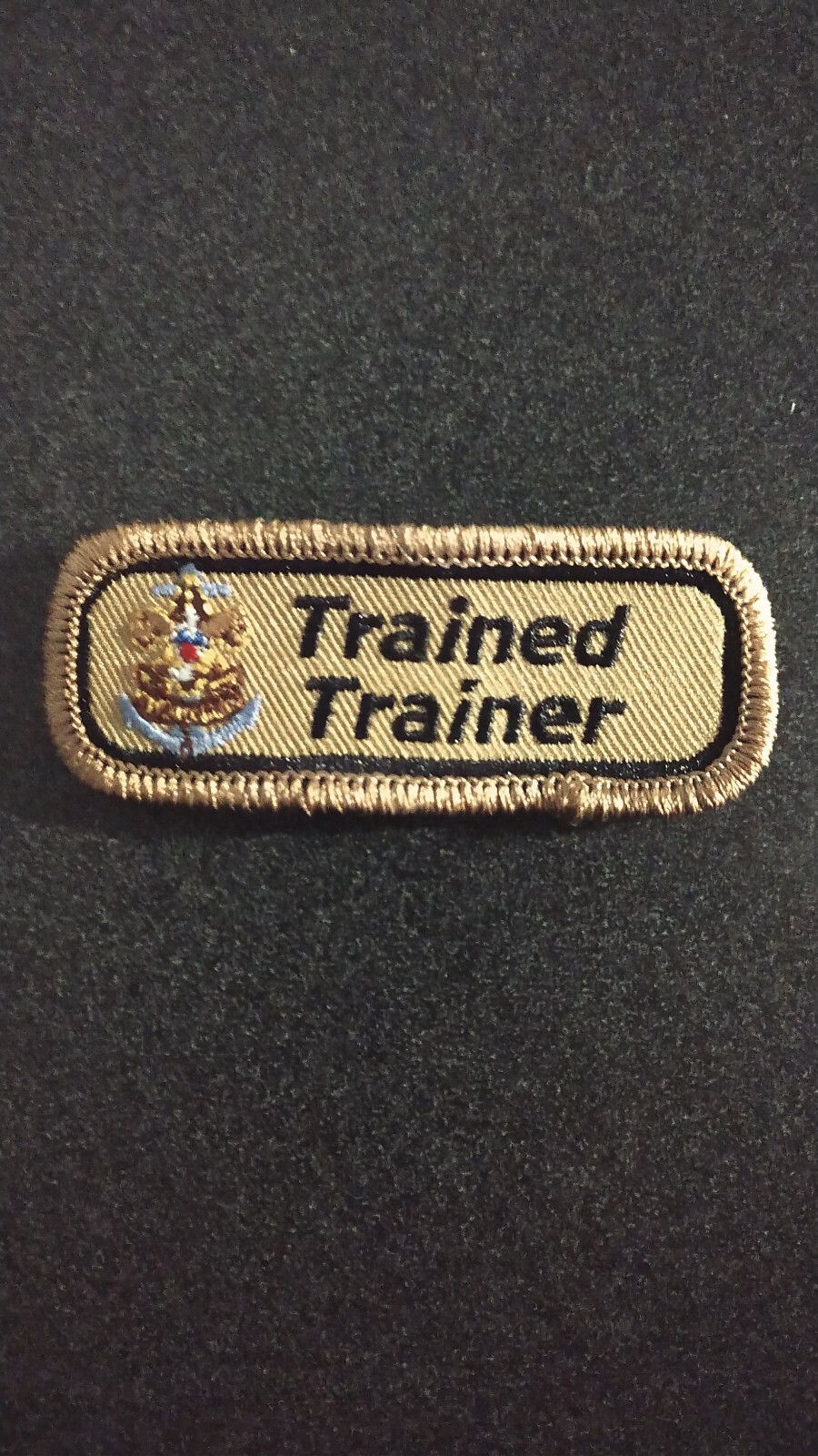 Sea Scout Leader TRAINED TRAINER Strip Tab Non BSA Private Issue Khaki ...