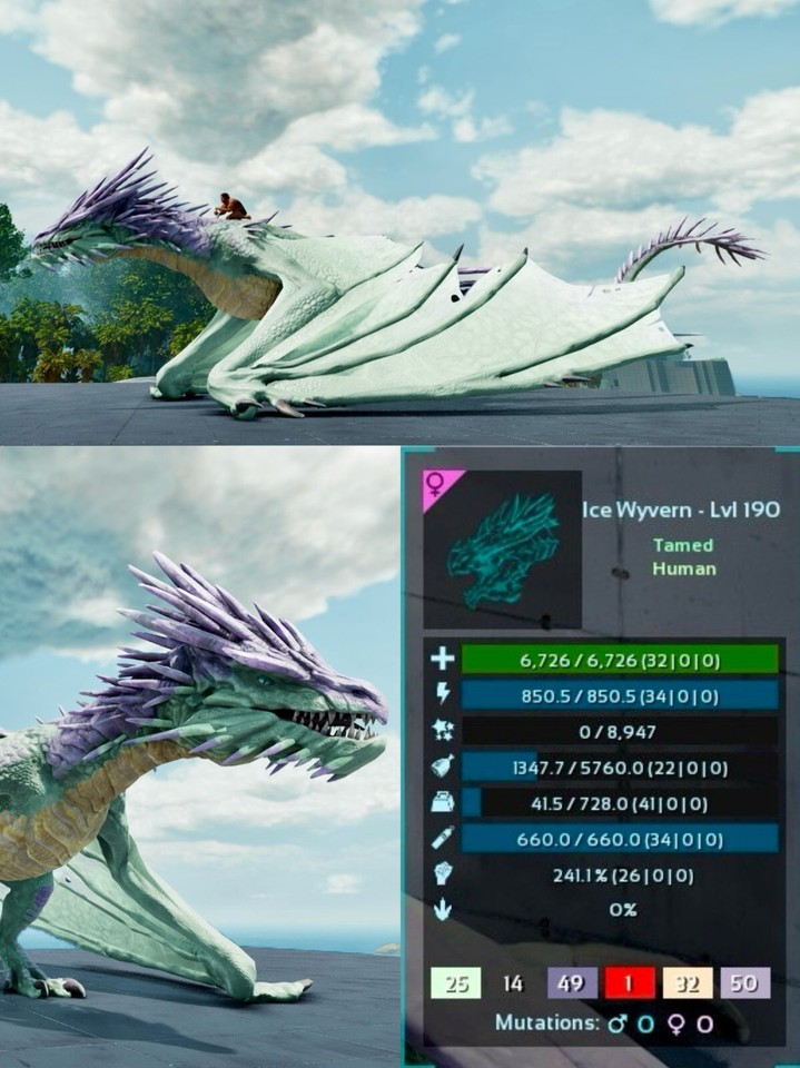 ark ragnarok ascended pve Ice Wyvern Event Color, Top Stats, Level 190 Max temed | eBay