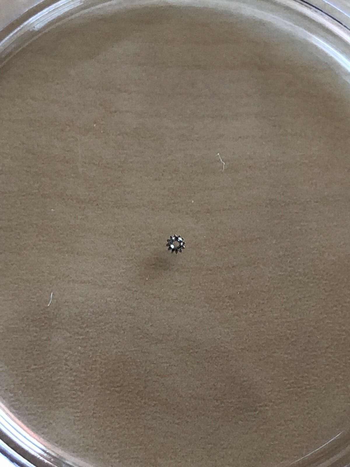 BREGUET Cal 582 Intermediate Crown Wheel Lemania 1350 1355 1377 NOS | eBay